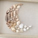 Crescent Moon Shell Shadow Box Art With Glass Enclosure - Etsy