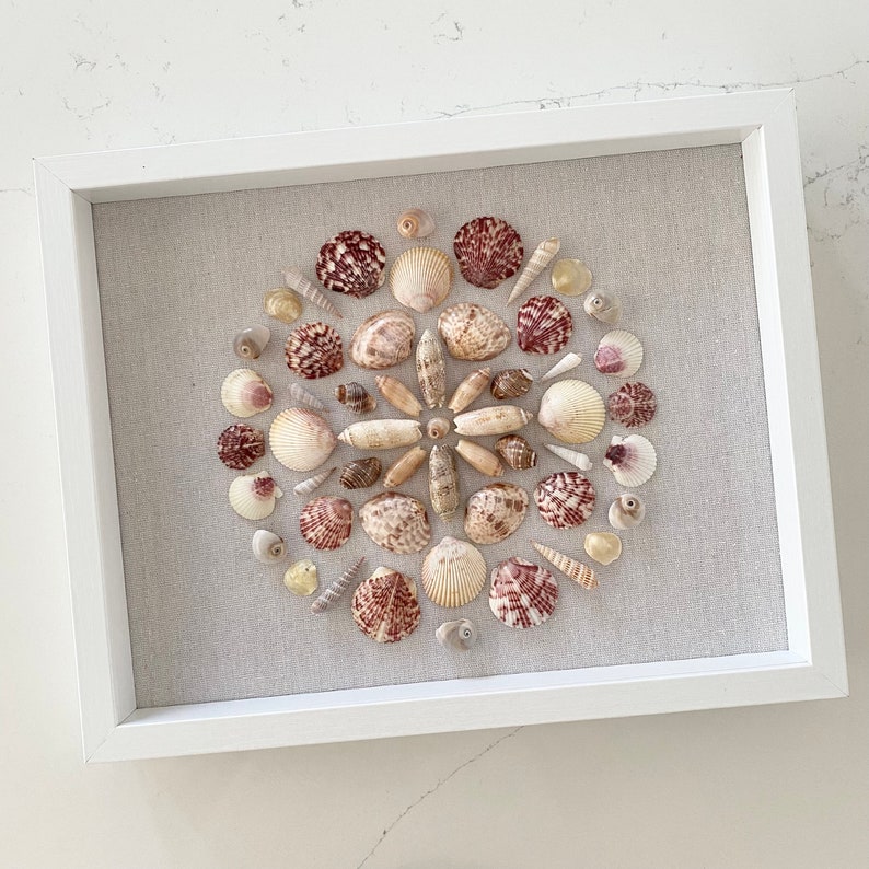 Colorful Shell Mandala Shadow Box Art With Glass Enclosure - Etsy