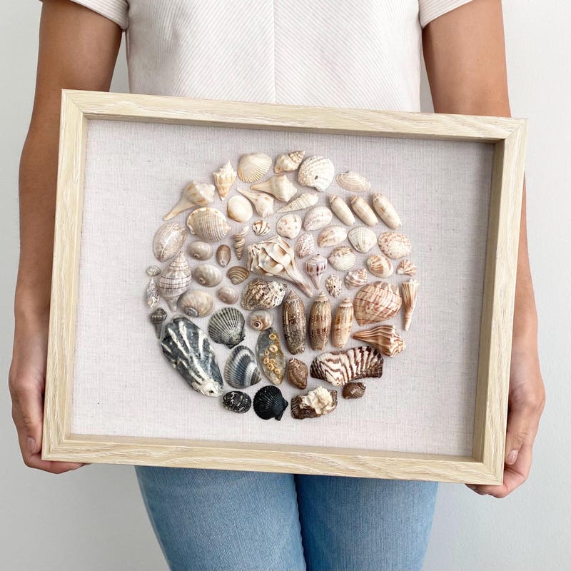 Shell Art Shadow Box - Etsy