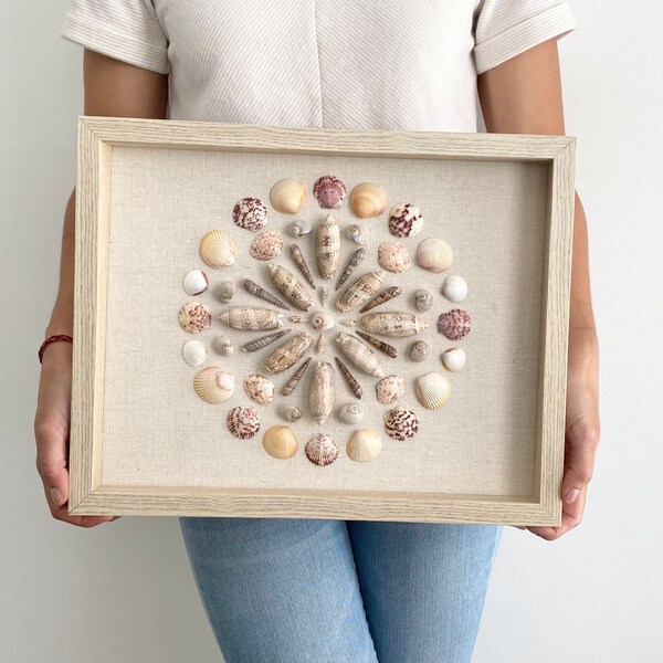 Framed Shell Art - Etsy