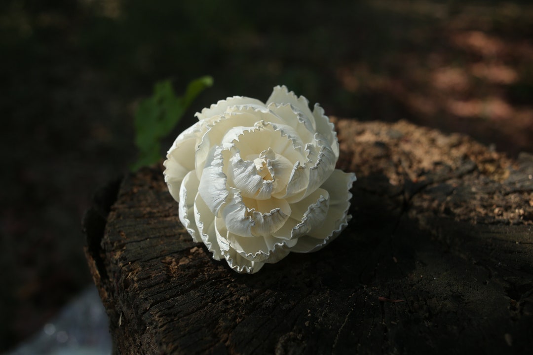 15 Rose Frizzy 8 Cm Dia Sola Wood Flowers Artificial Flower for ...