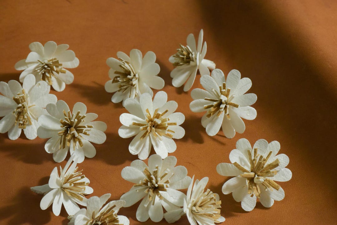 Sola Wood Daisy Flowers, 4cm, Handmade Craft Supplies, 50 Pieces - Etsy