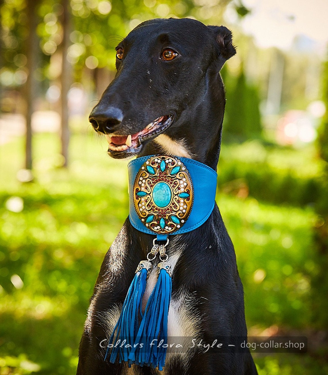 Leather dog collar for Sighthound Greyhound Afghan Hound | Etsy