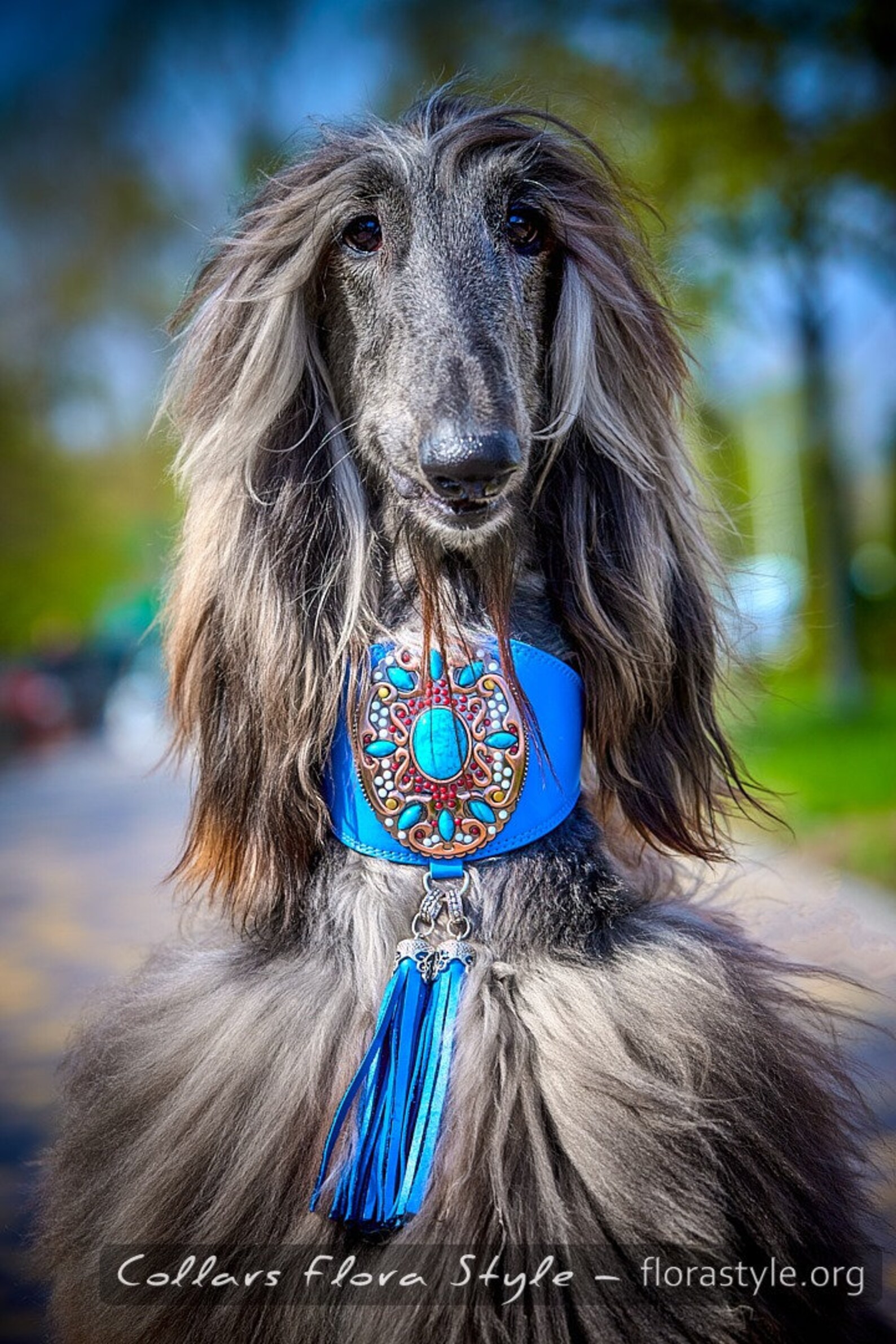 Leather Dog Collar for Sighthound Greyhound Afghan Hound - Etsy
