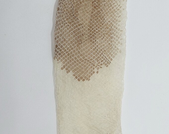 Ball/royal Python Snake Skin Shed Normal Morph C.11 Inches REGGIE02 - Etsy