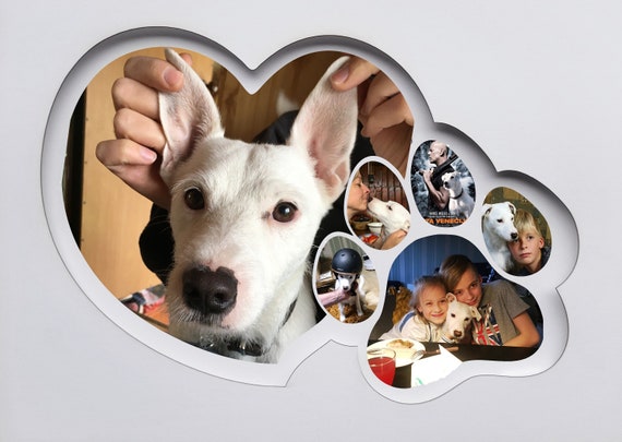 Dog Photo Collage Dog Poster Dog Photo Gift DIY Online | Etsy