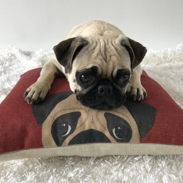 Pug Pillow - Etsy