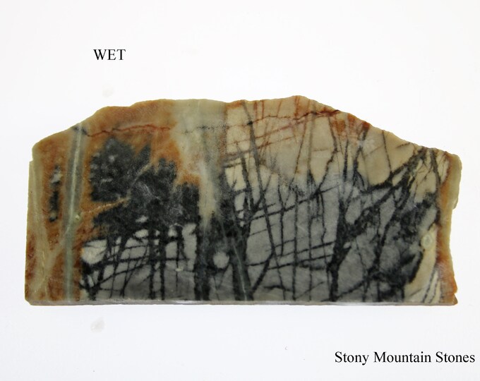 Picasso Marble Rough Slab Specimen, Natural Unpolished Picasso Jasper ...