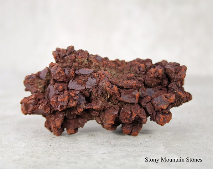 Coprolite, Rare Agatized Dinosaur Poop Fossil, Dinosaur Dung Fossil ...