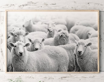 Sheep poster | Etsy