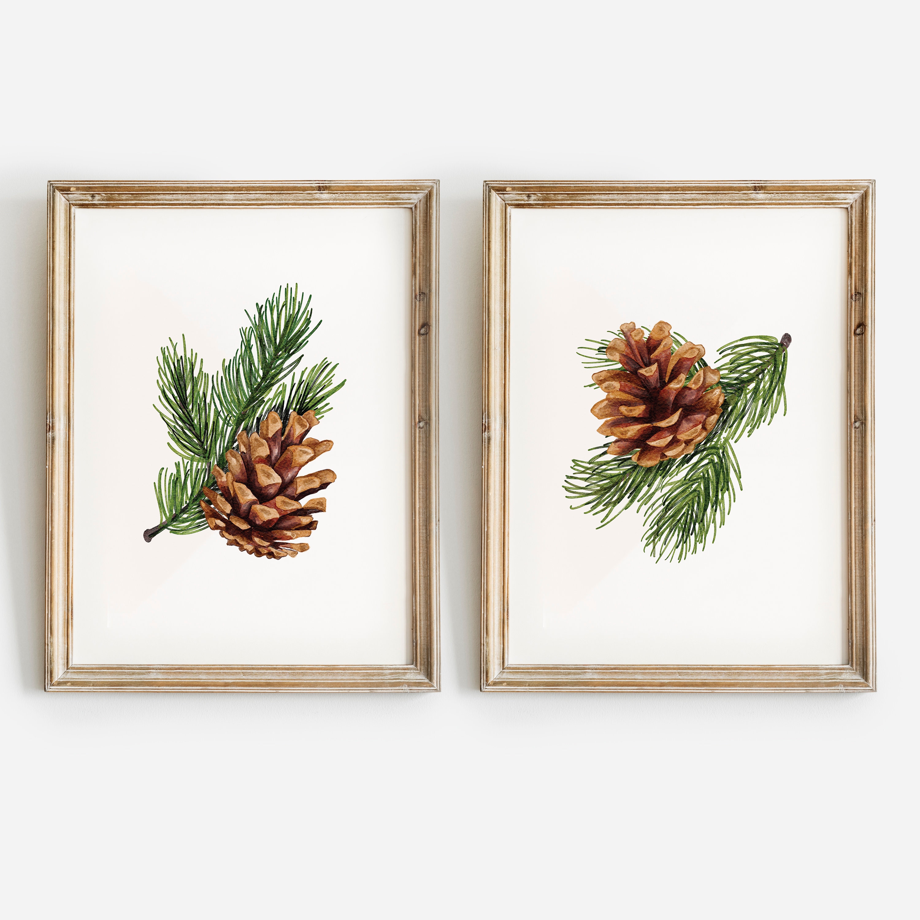 Evergreen Pine Tree Pinecone Print, Printable Wall Art, Natural ...
