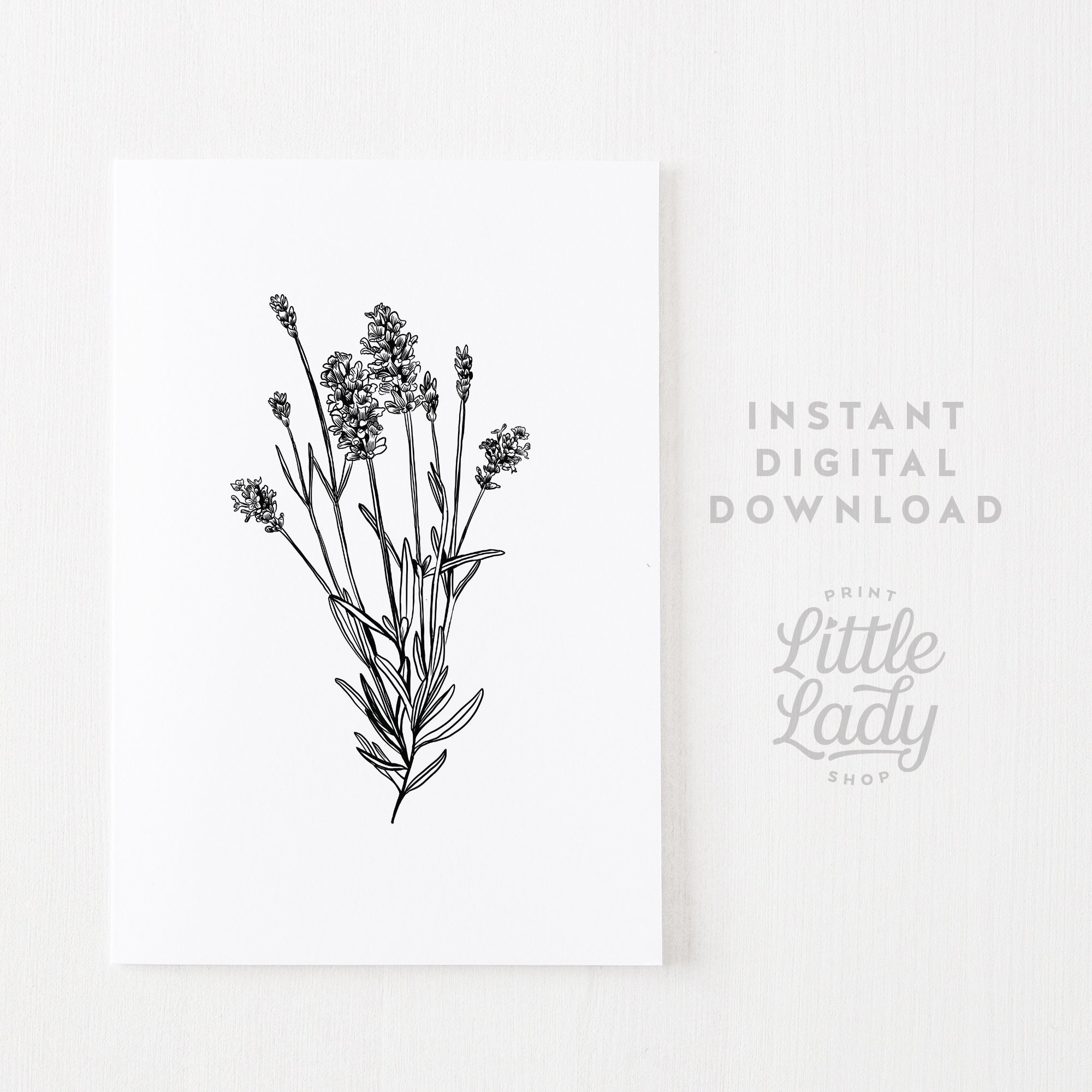 Lavender Line Art Print Lavender Printable Wall Art - Etsy