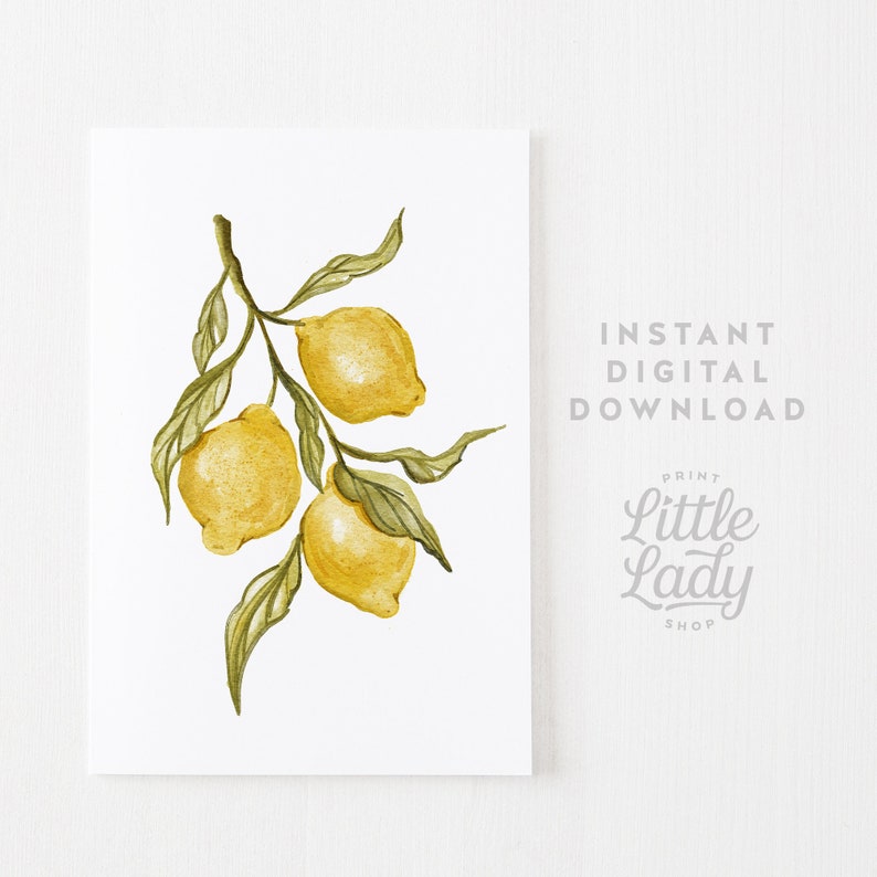 Lemon Print, Citrus Fruit Printable Wall Art, Kitchen Decor, Lemon ...