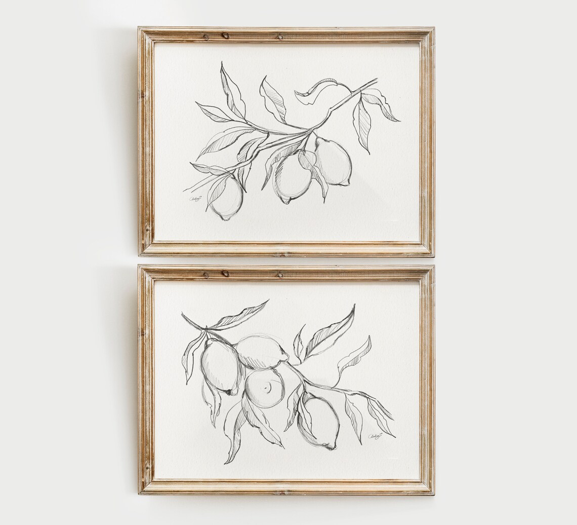 Lemon Pencil Sketch Printable Wall Art, Kitchen Decor, Hand Drawn Lemon ...