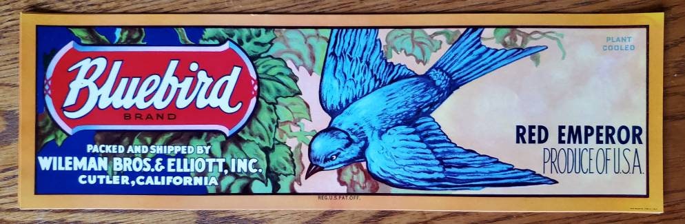 Bluebird in My Heart Fruit Crate Label Original Agricultural - Etsy