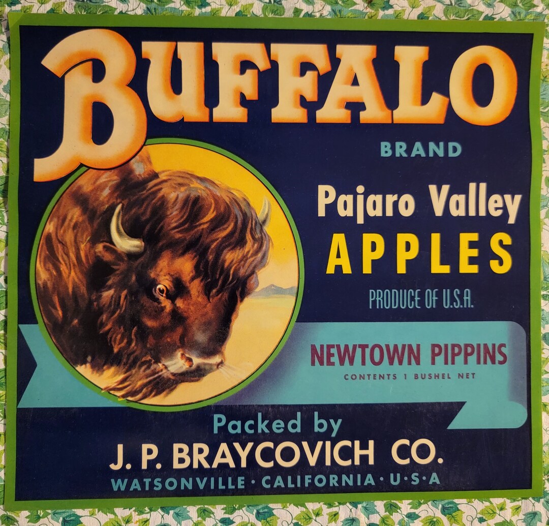 Buffalo Brand Apples Pajaro Valley Newton Pippins - Etsy
