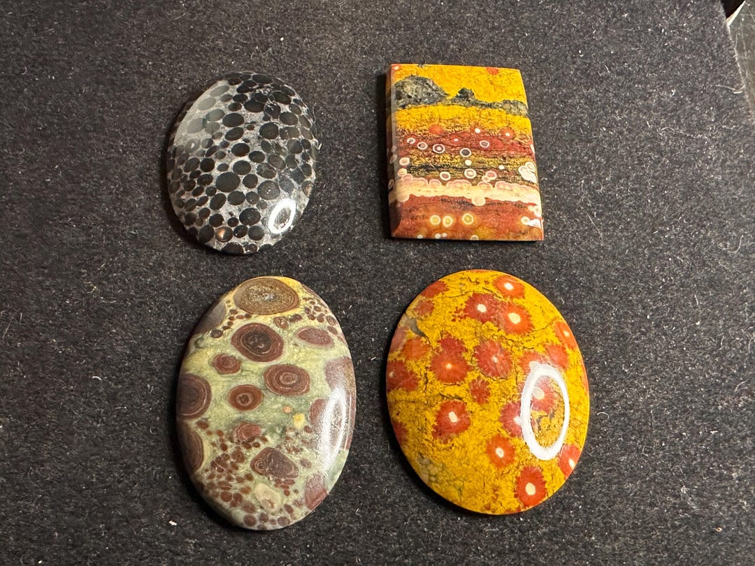 4 Various Jasper and Fossilized Coral Cabochons 245 Carats - Etsy UK
