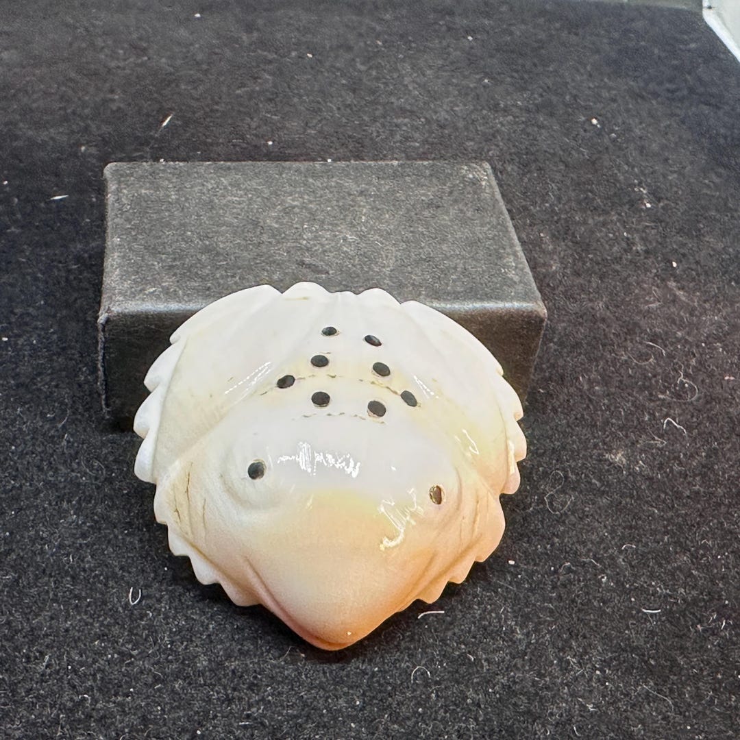 Zuni Carved Clam Shell With Onyx Inlay Frog Fetish MARKED - Etsy