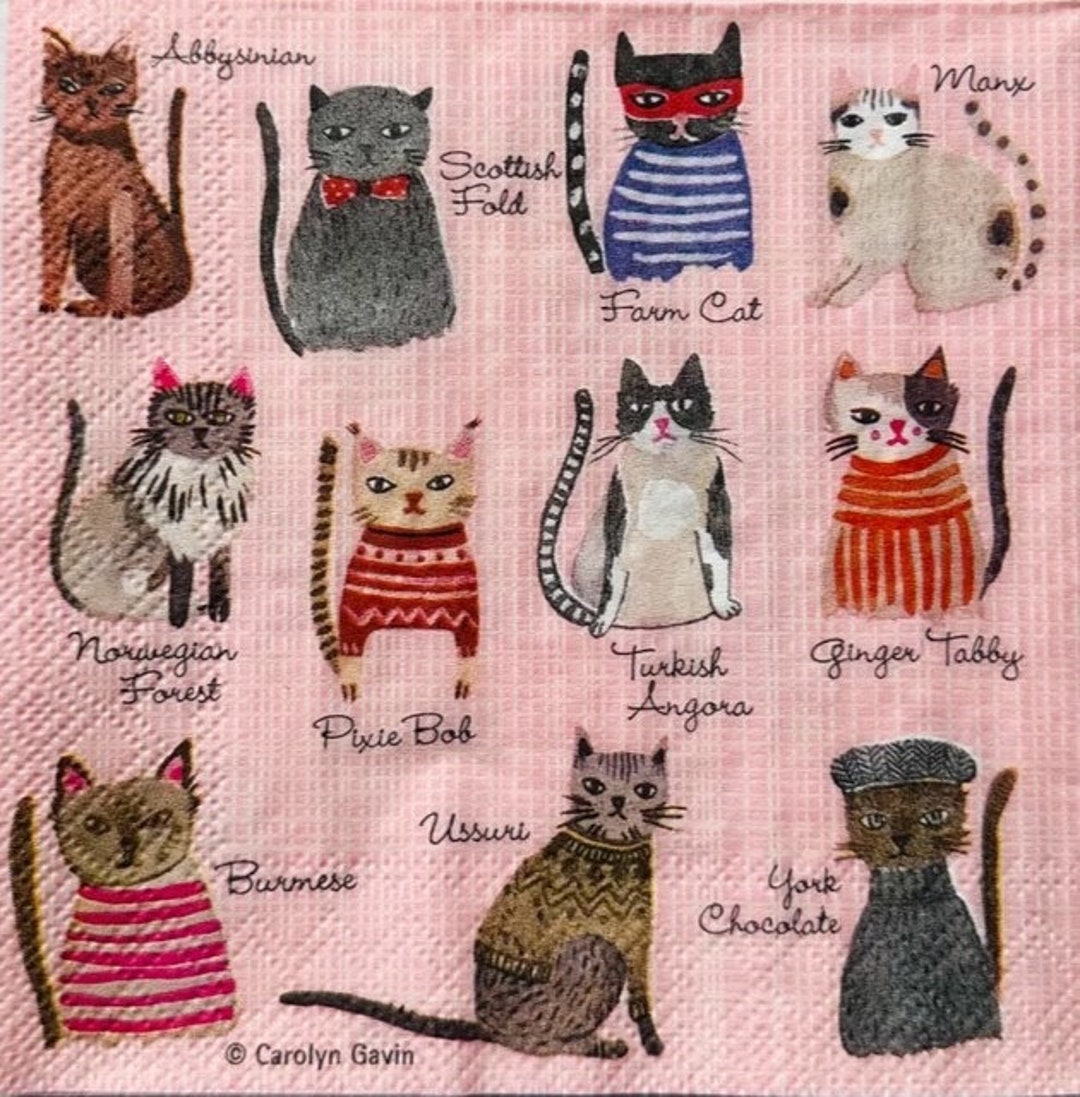 Cartoon Cats Napkin for Decoupage Cocktail Size 3 Ply - Etsy
