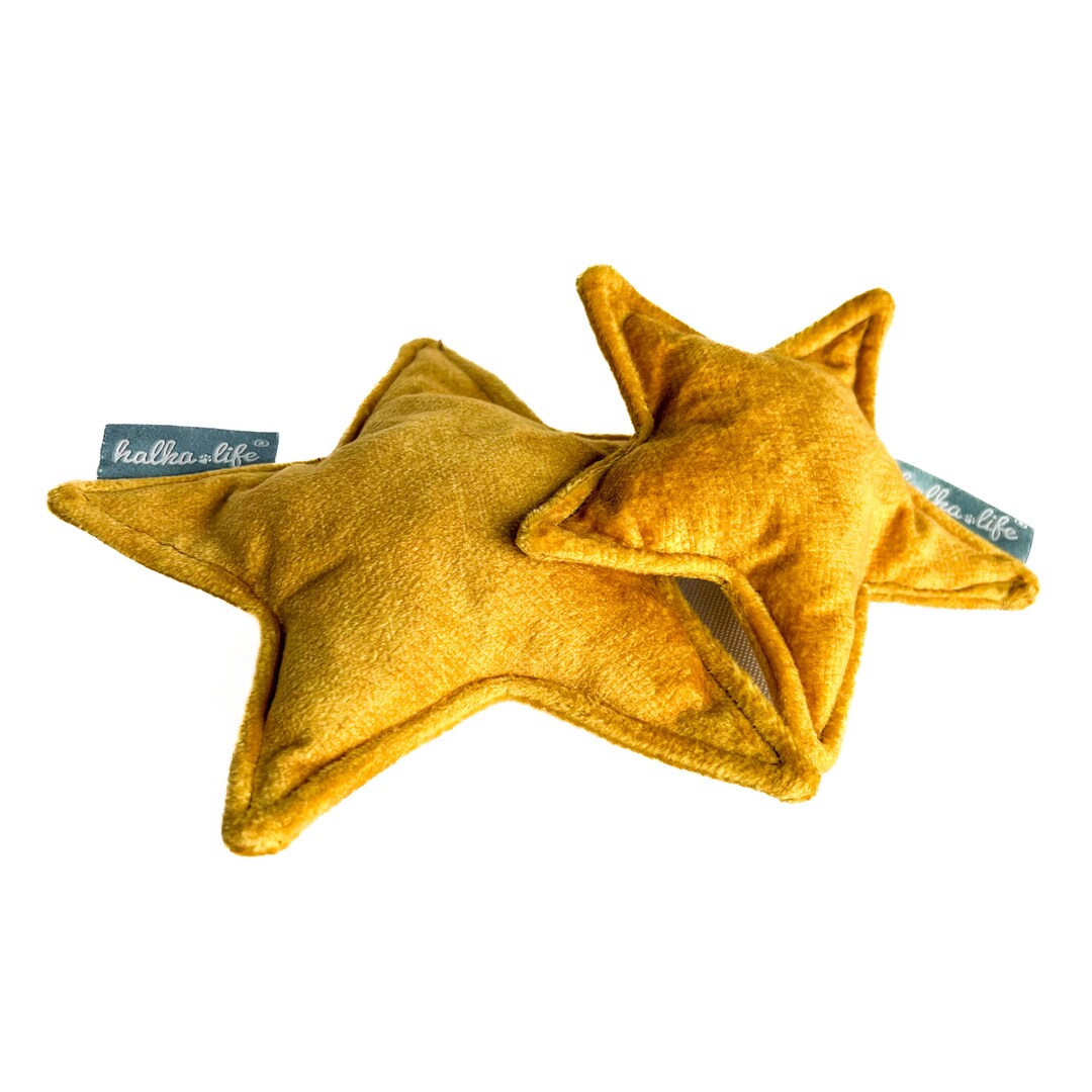 Dog Toy. Gold Star Dog Toy. A Toy for Throwing, Fetching and Carrying ...
