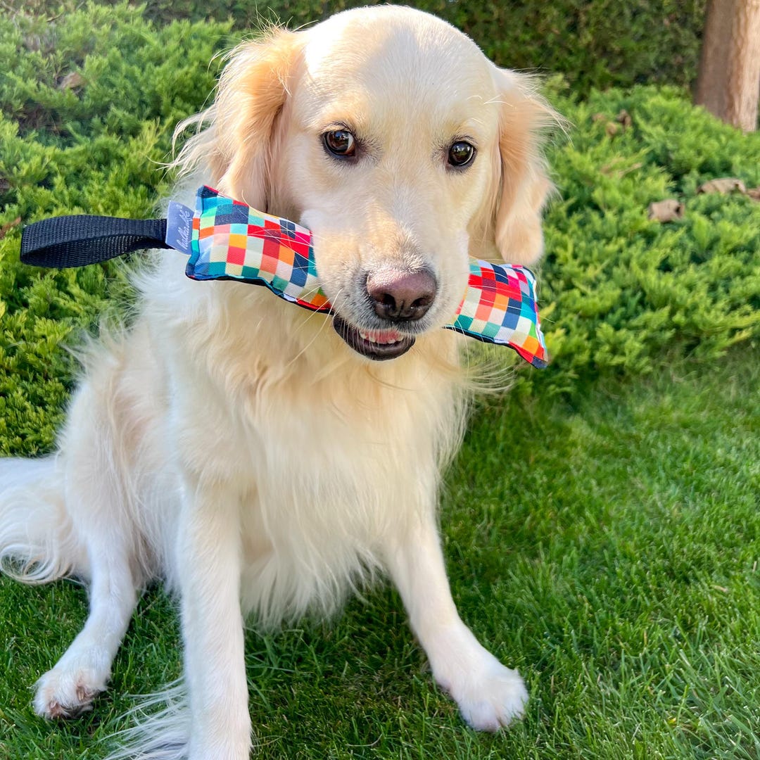 Dog Toy. Pixel Pattern Dog Toy. A Toy for Throwing, Fetching and ...