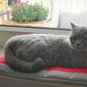 Raspberry Cat Bed Windowsill Cat Pillow Cat Pad Pet Bed - Etsy