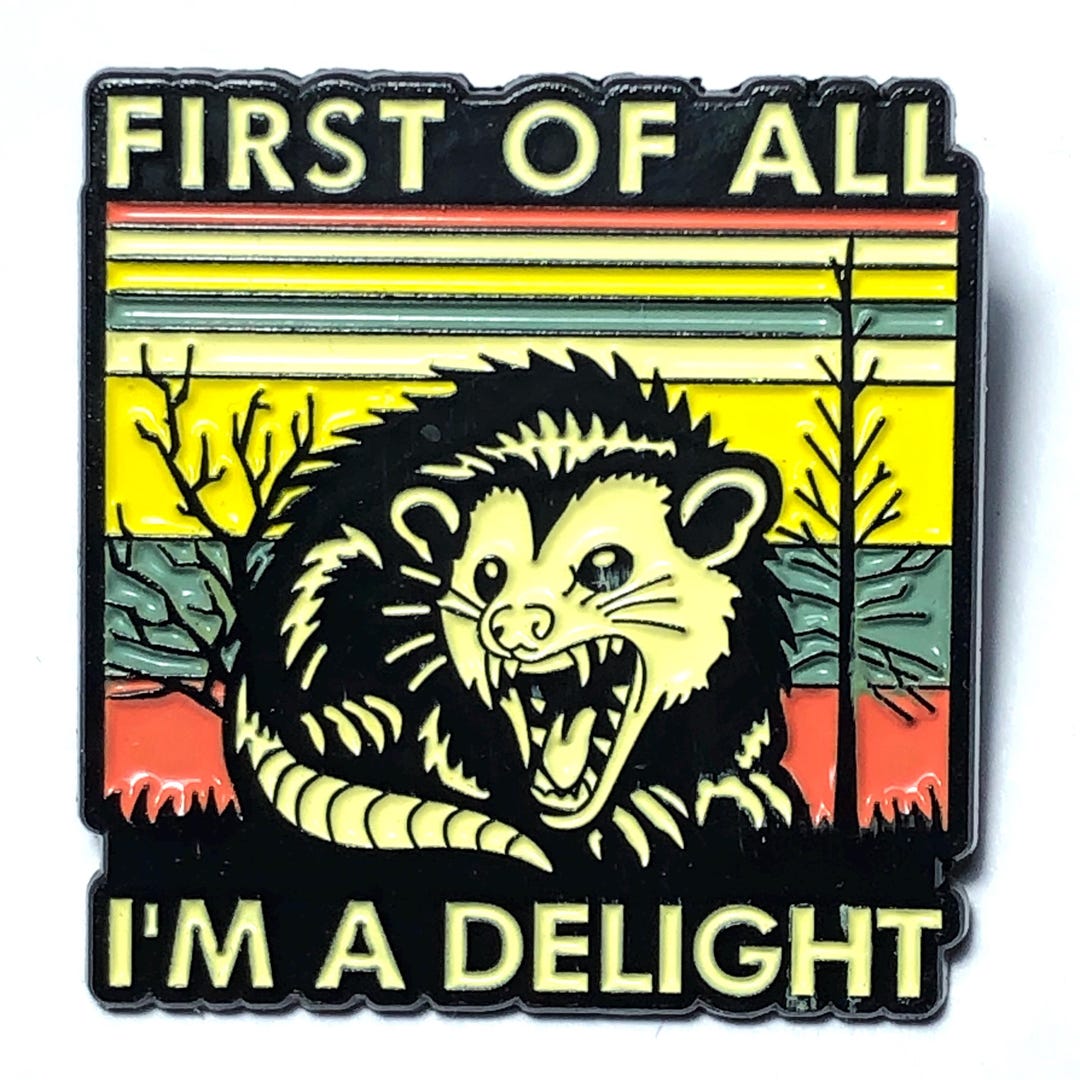 First of All, I'm a Delight Possum Enamel Pin - Etsy