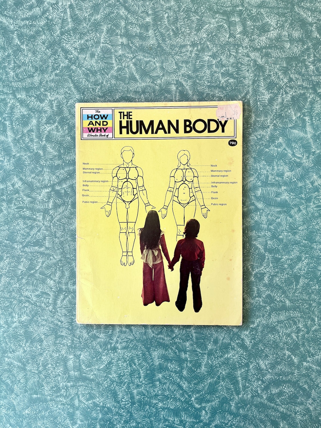 The How and Why Wonder Book of the Human Body Vintage - Etsy
