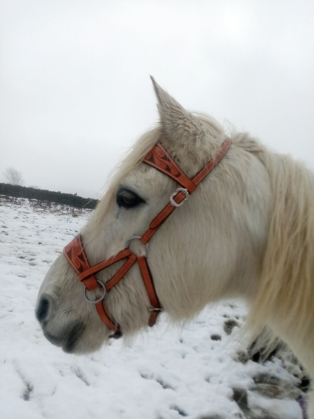 Hand Carved Leather Sidepull Bitless Western Style Bridle- Pony, Cob ...