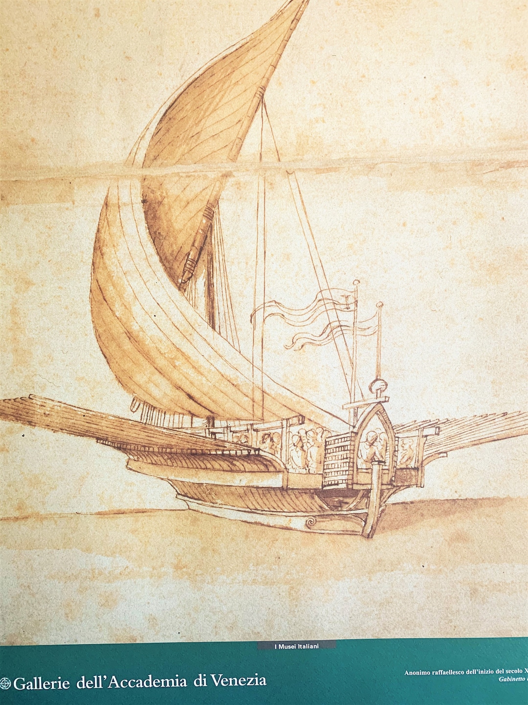 Study of a Galea - Rare Poster Vintage - 1990s - Etsy