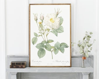White Roses Wall Art | Etsy