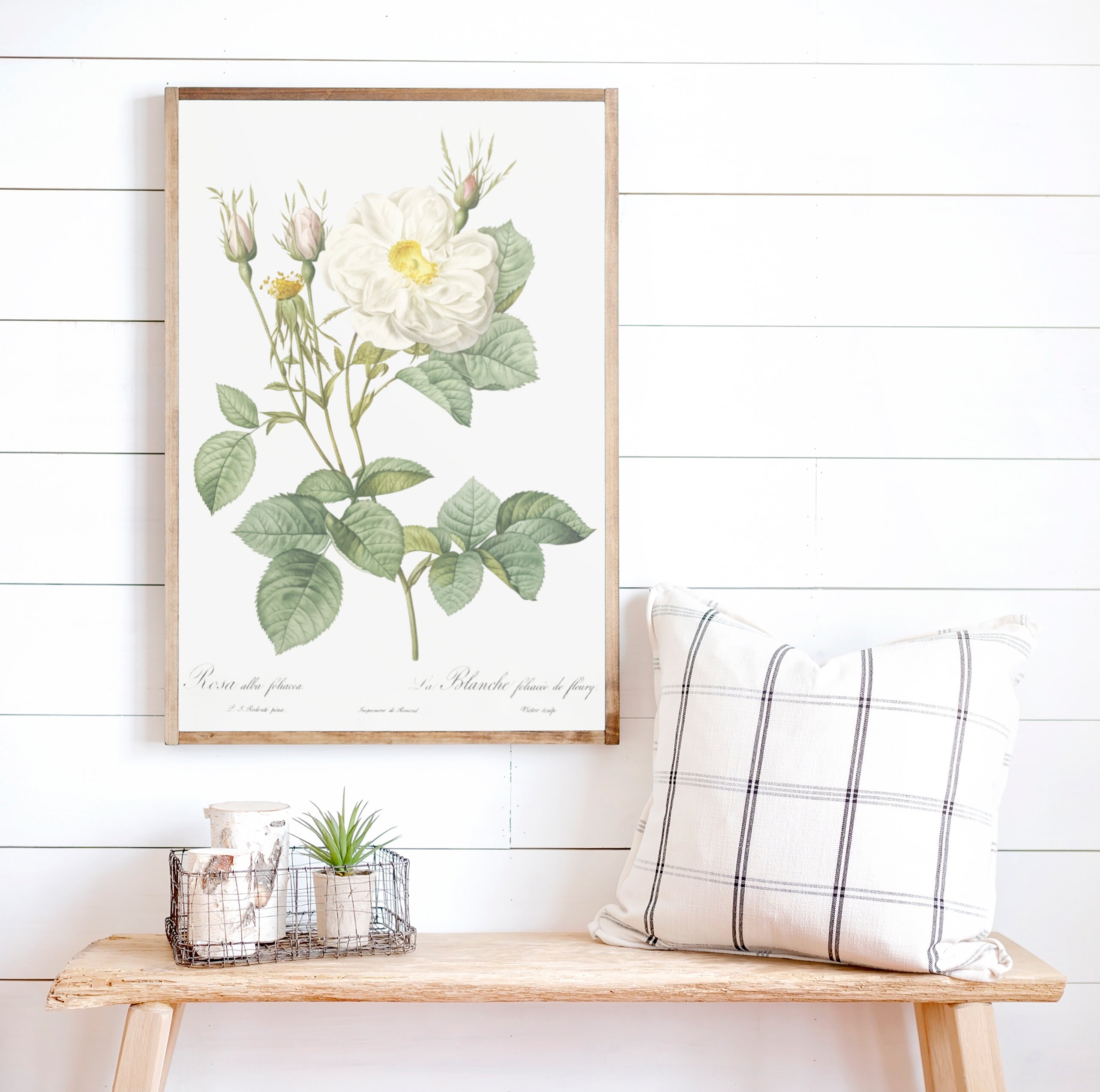 White Roses Print Wall Art Living Room Wall Art Botanical | Etsy