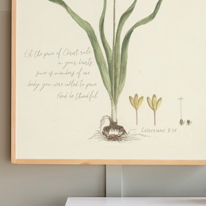 Vintage Botanical With Scripture | Botanical Wall Art | Large Botanical ...