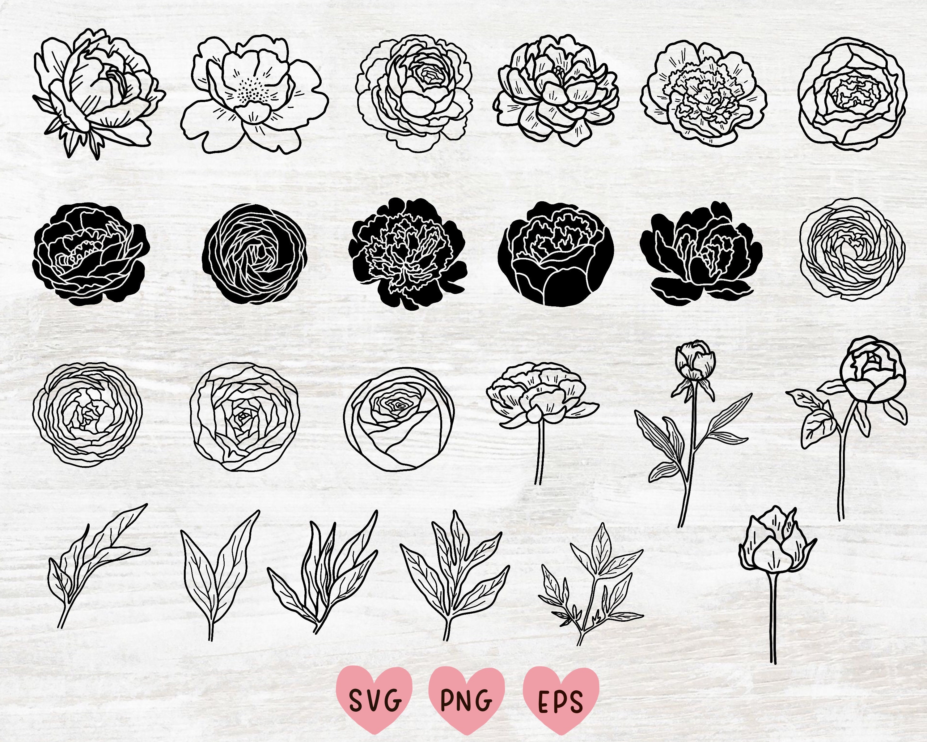 Peony Flowers Svg Bundle Peonies Svg Floral Flower Clipart Svg - Etsy ...