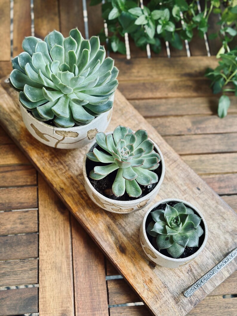 Set of 3 Nesting White Planters / White Ginkgo Planters / Small Pottery ...