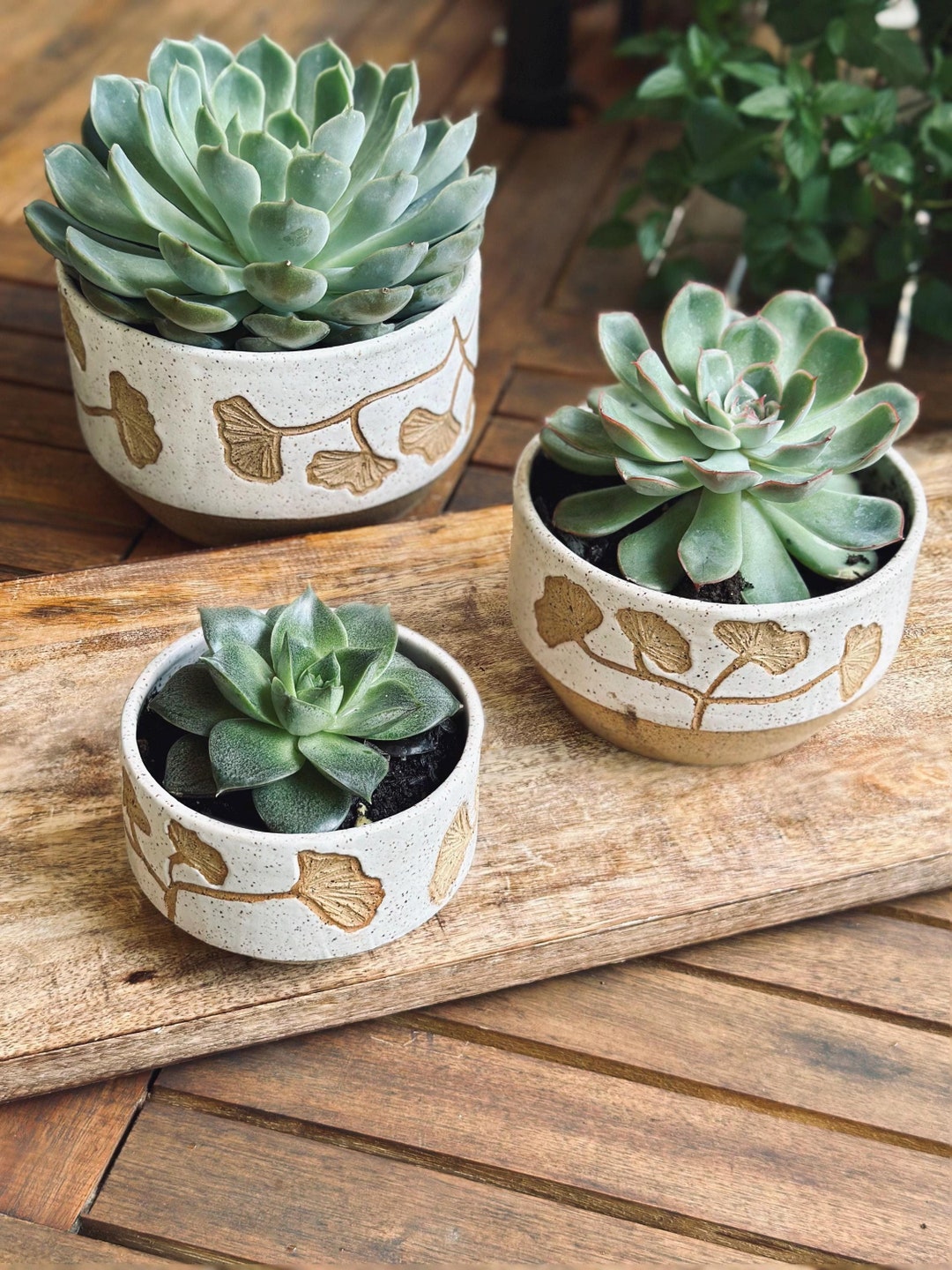 Set of 3 Nesting White Planters / White Ginkgo Planters / Small Pottery ...