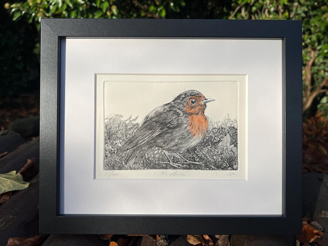 Robin. Hand Printed and Coloured Etching - Etsy