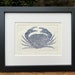 Blue Lace Crab Etching - Etsy