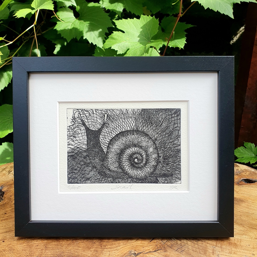 Snail With Lace Shell Etching. Original Hand Made Print - Etsy