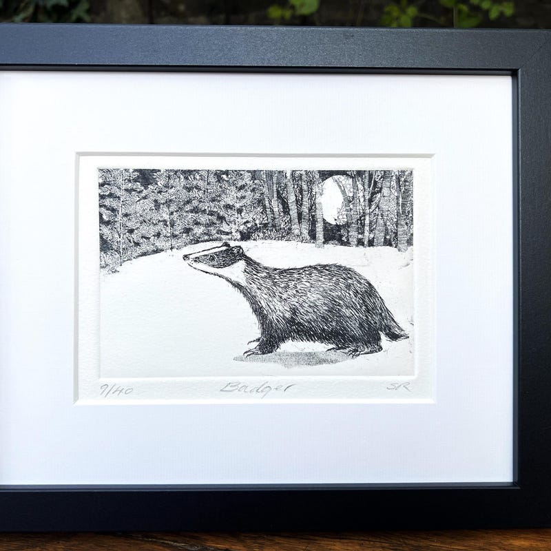 Badger Print - Etsy UK