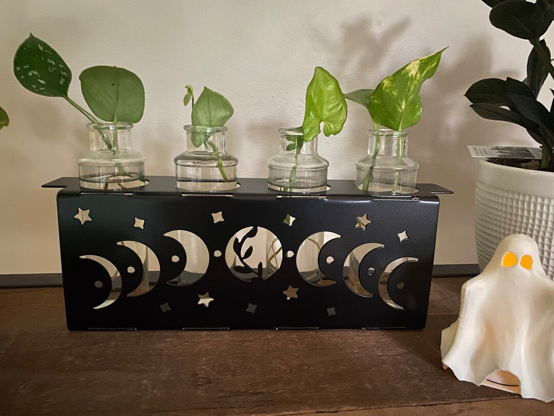 Metal Propagation Stand, Customizable, Plant Cuttings | Plant Stand ...