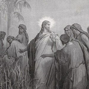 Jesus and His Disciples in the Corn Field - Original Engraving From ...