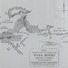 Map of Coal Mines in Japan - Original Lithography Out of "american ...