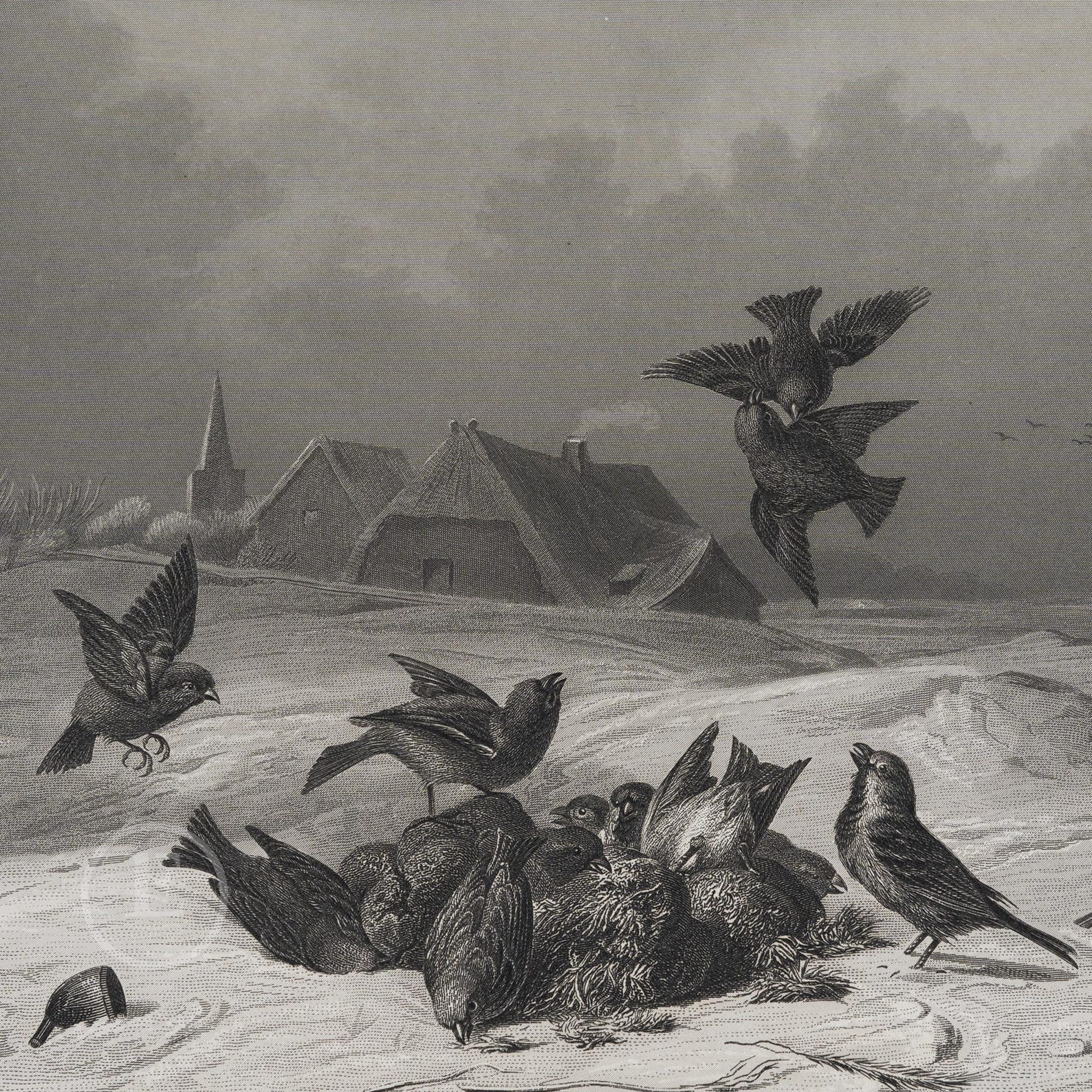 1855 SPARROW'S BREAKFAST - Black and White Steel Engraving by Albert ...