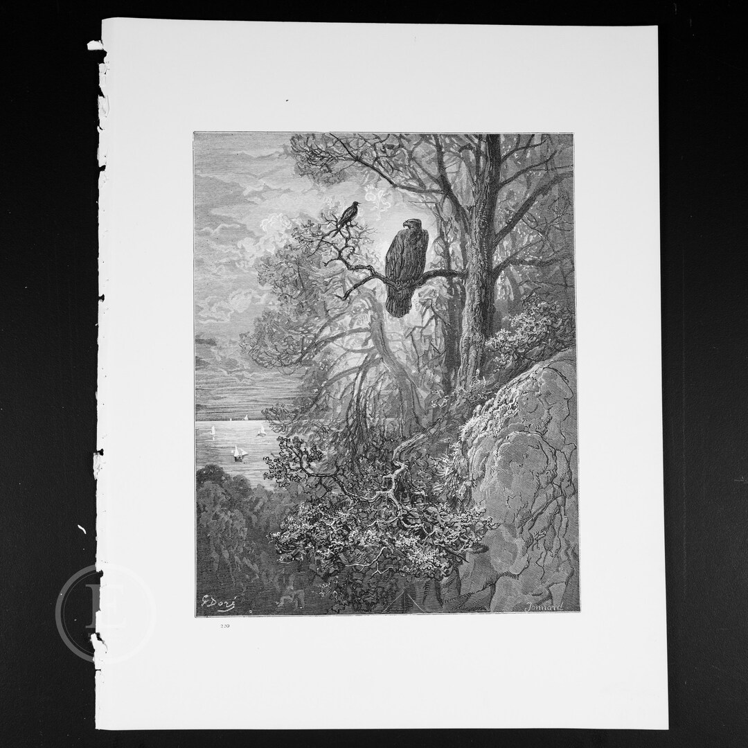 The Eagle and the Magpie Engraving by Gustave Doré - La Fontaine ...