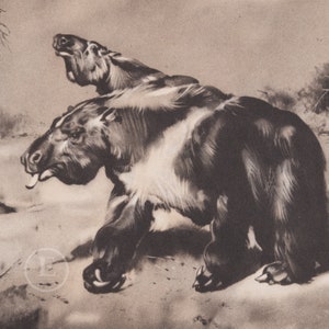 Megatherium: Ground Sloths From the Early Pliocene - Original Vintage ...