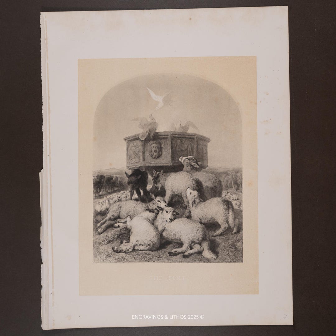 1876 – the Baptismal Font – Lambs and Sheep – Antique Heliotype Print ...