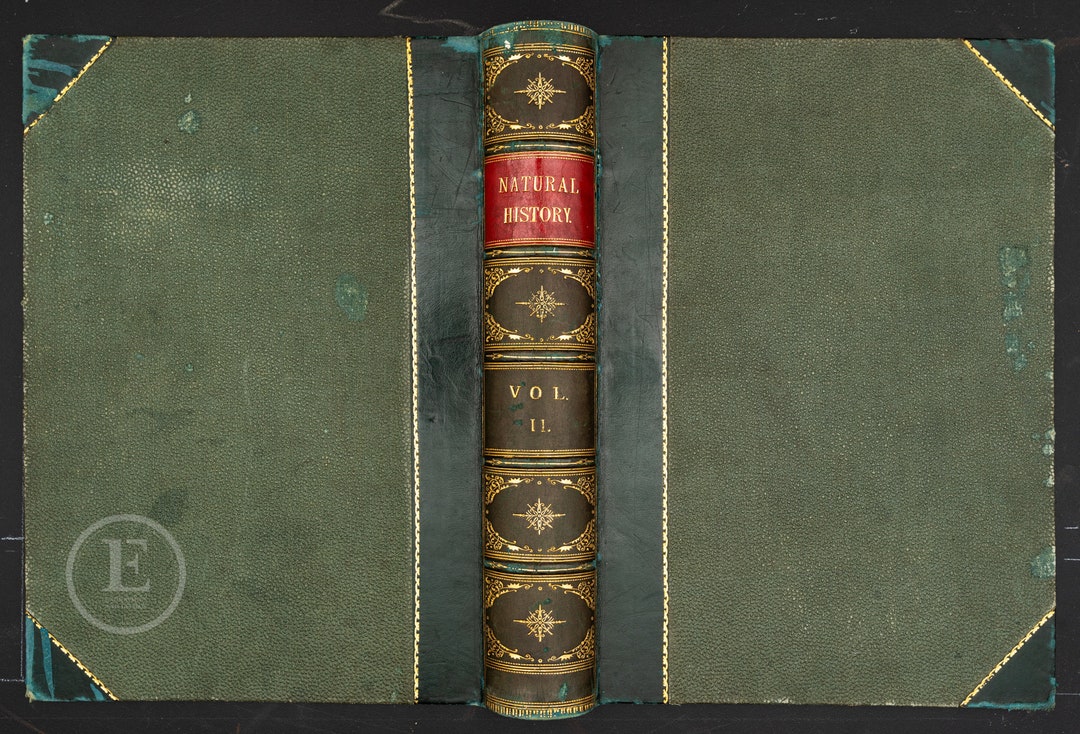 Original Green Old Book Cover - Natural History Volume 2 - Ca 1860 - Etsy