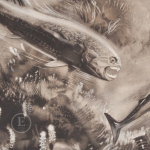 Dinichthys and Cladoselache Sea Animals - Original Vintage Lithograph ...