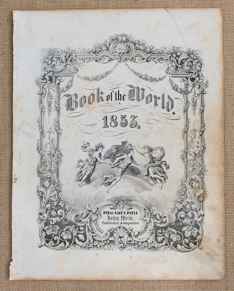 Looper Moths Butterflies - VERY RARE - Original Lithography Out of ...
